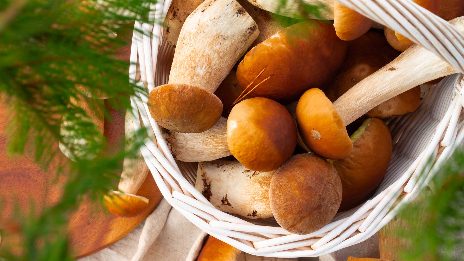 menù speciale dedicato ai porcini